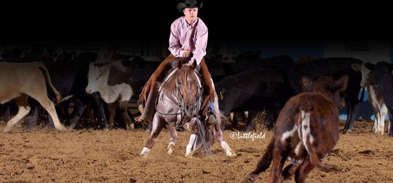 metallic cat cutting – KJBridgeman